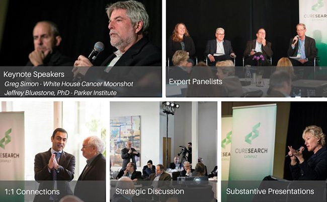 Catapult Summit Collage